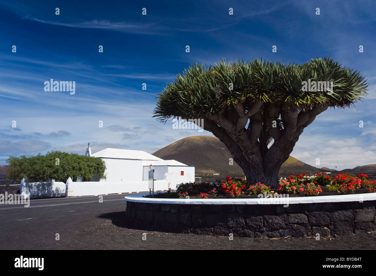 Outdoor tree church hi-res stock photography and images - Alamy