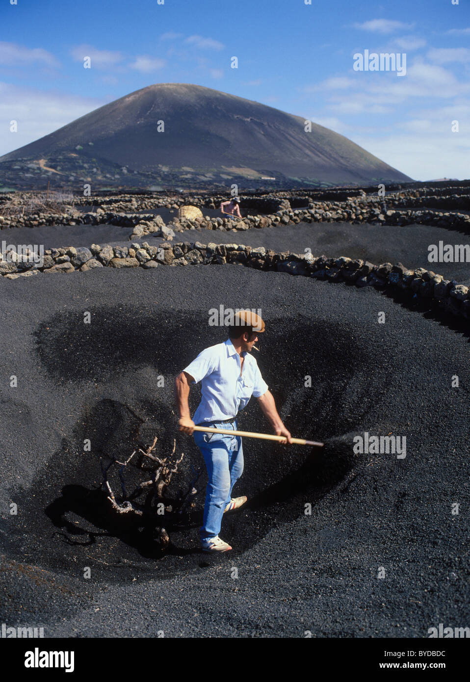 Lanzarote farming lava field hi-res stock photography and images - Alamy