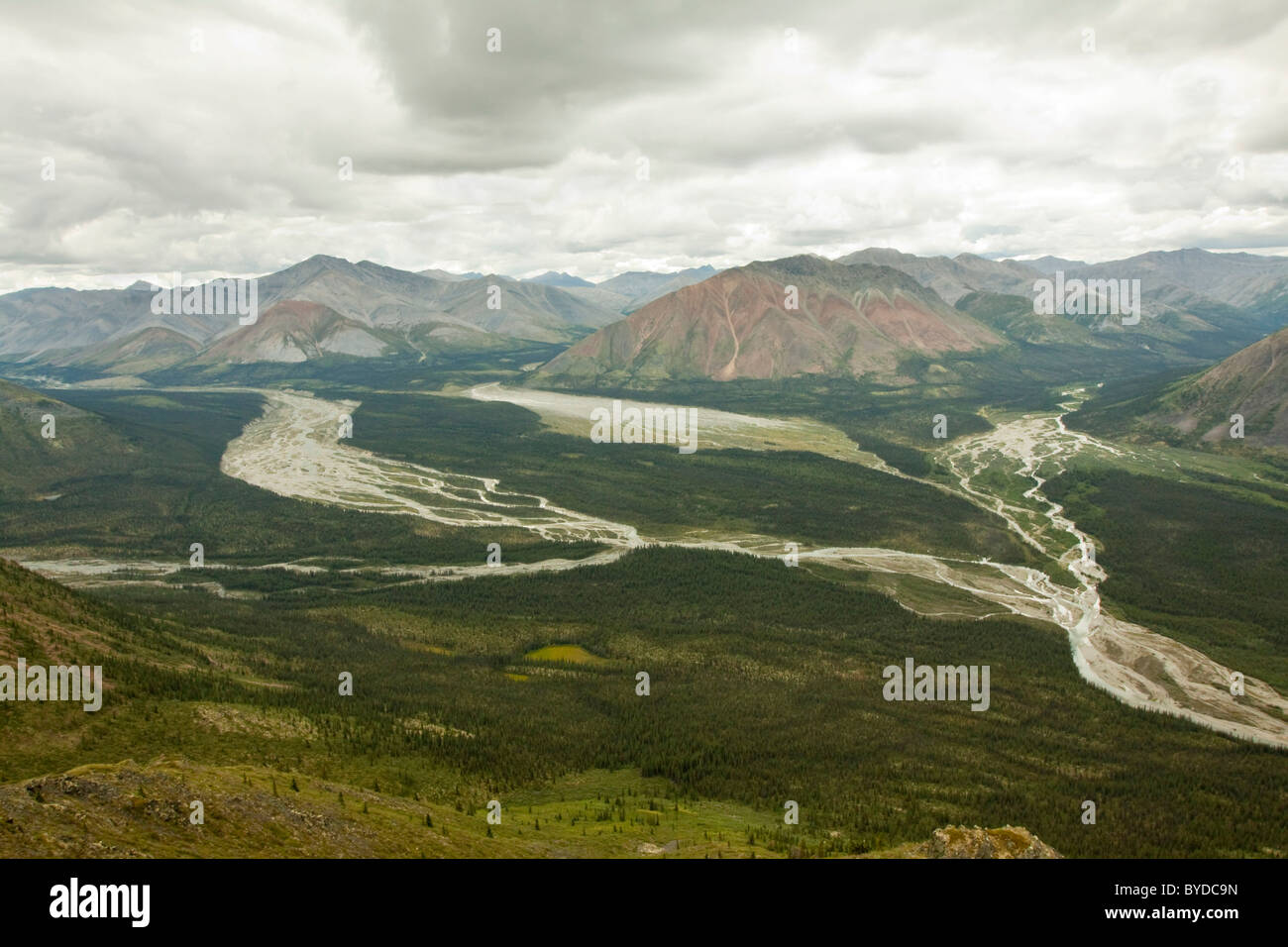 Panorama of Wind River valley, Yukon Territory, Canada Stock Photo - Alamy