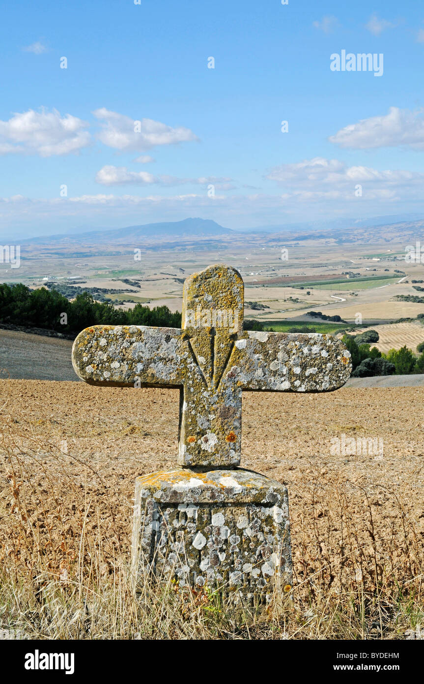 Scallop shell and cross, Camino de Santiago or the Way of St James ...