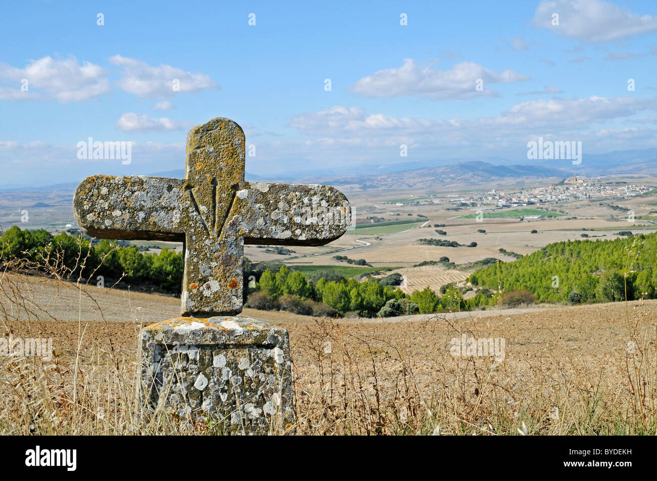 Scallop shell and cross, Camino de Santiago or the Way of St James ...