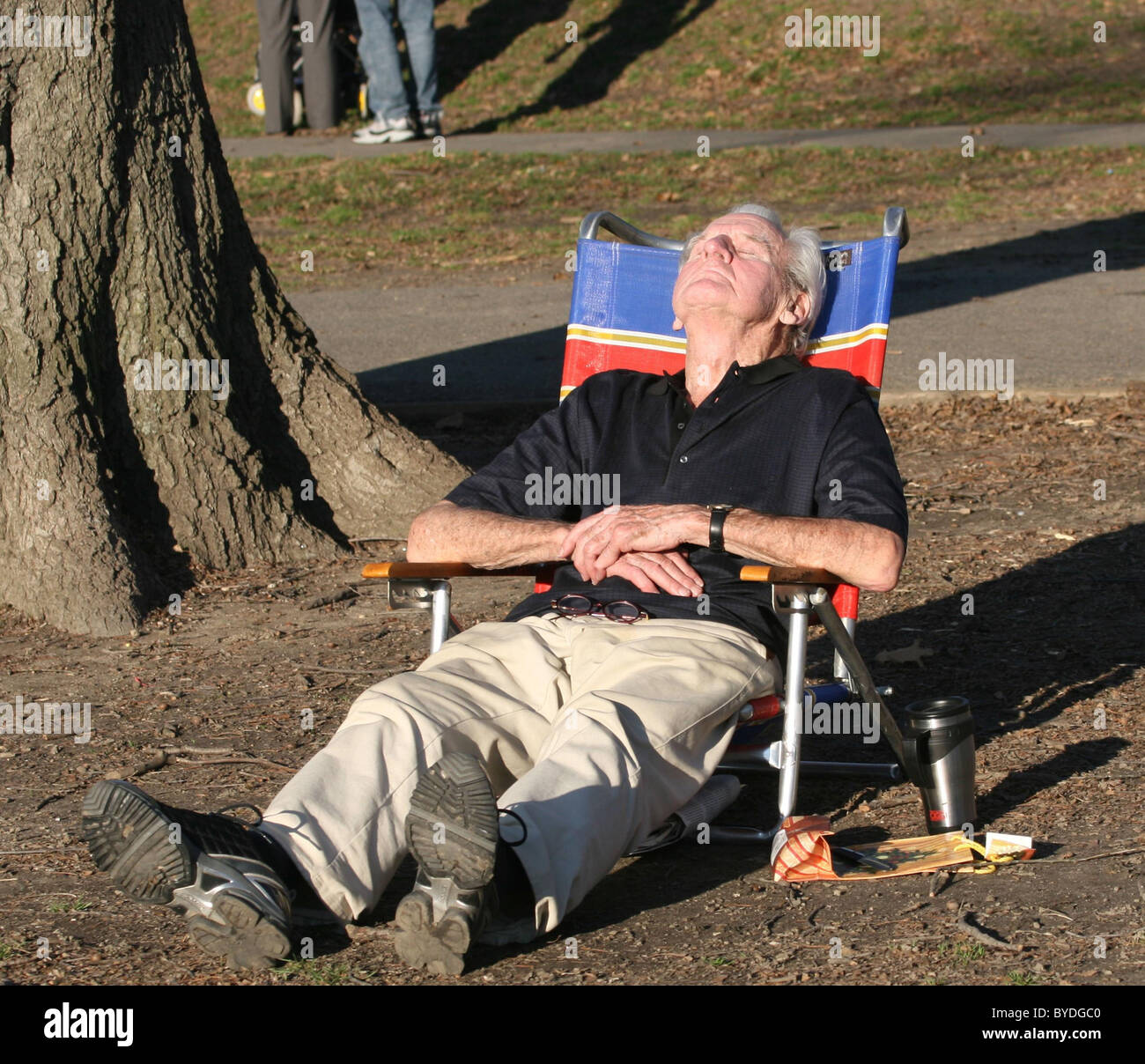 Unusually warm weather has turned January into a playland for outdoor ...