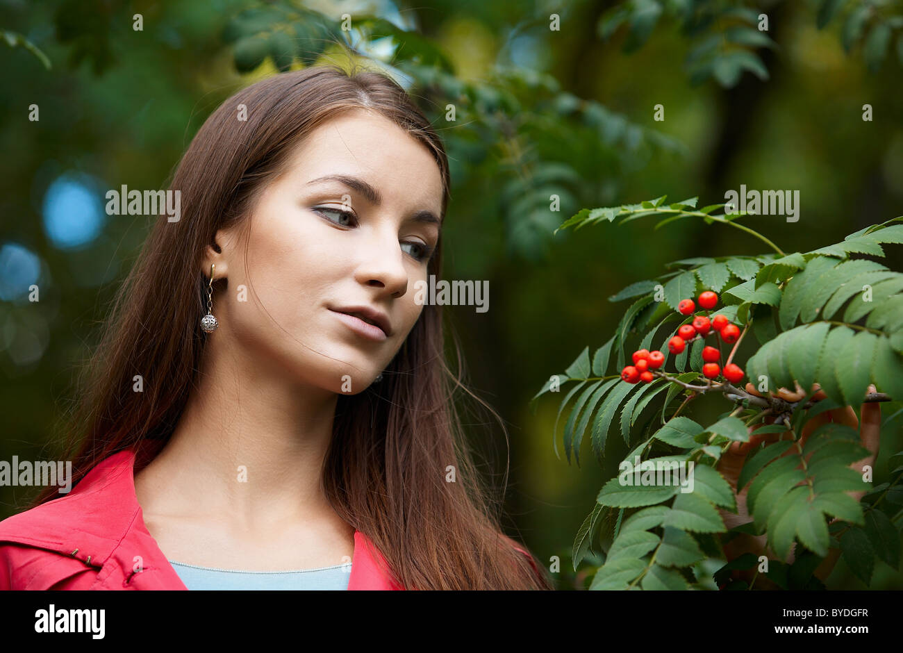 Girl with ashberry Stock Photo - Alamy