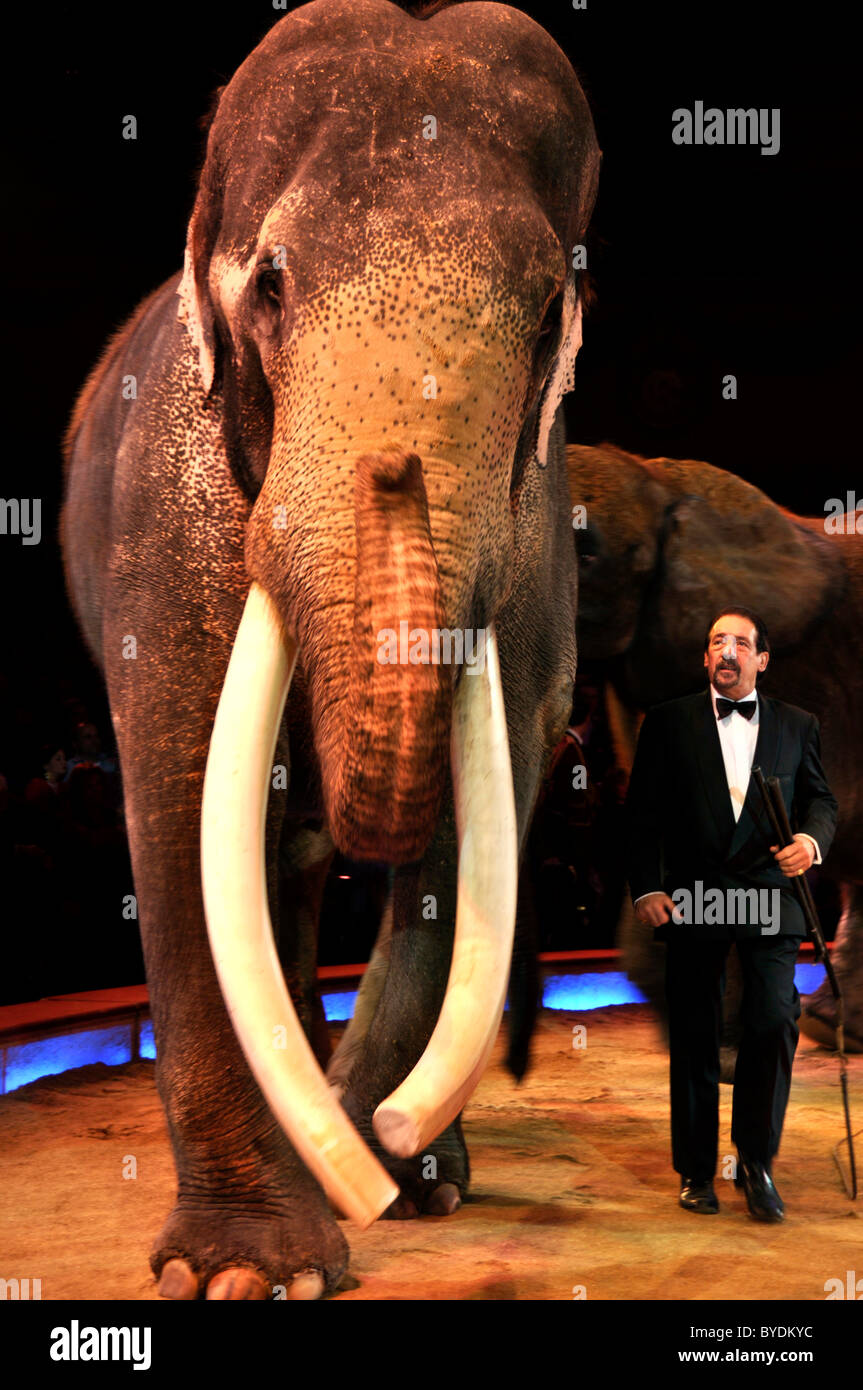 Elephant dressage, James Puydebois, Circus Krone, Munich, Bavaria ...