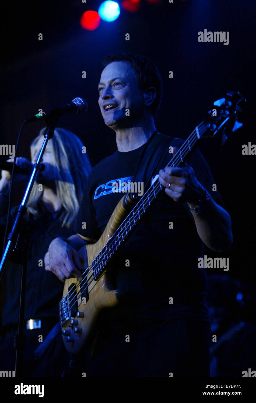 Lt. Dan Band featuring Gary Sinise played a benefit concert to raise ...