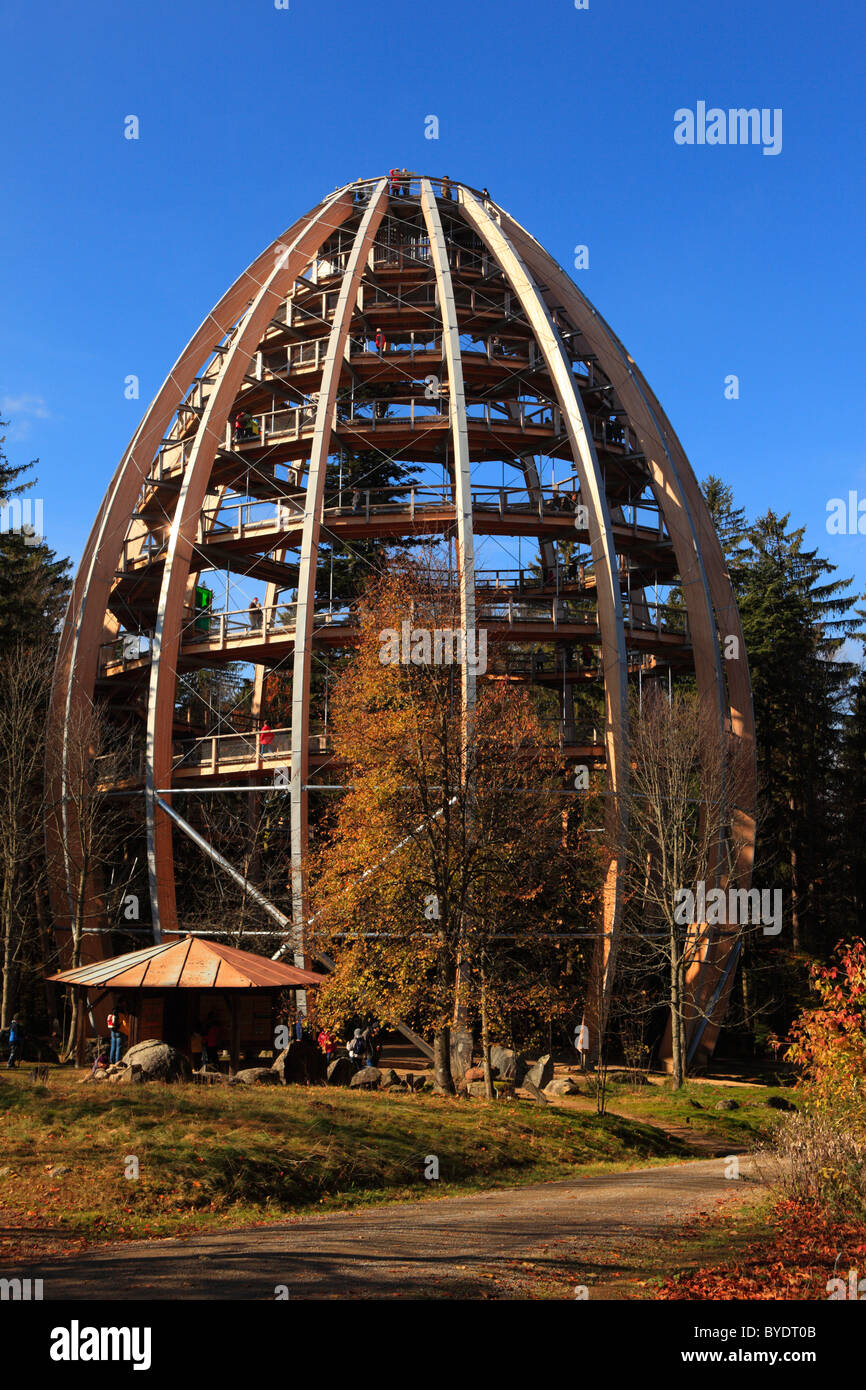 Tree house located at the end of the Waldwipfelweg hiking trail ...