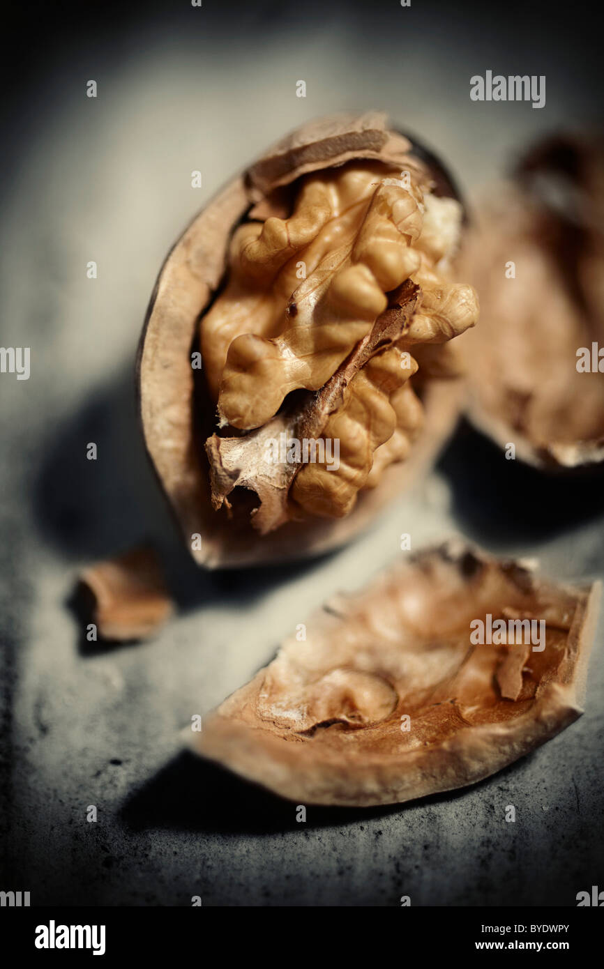 A broken walnut Stock Photo - Alamy