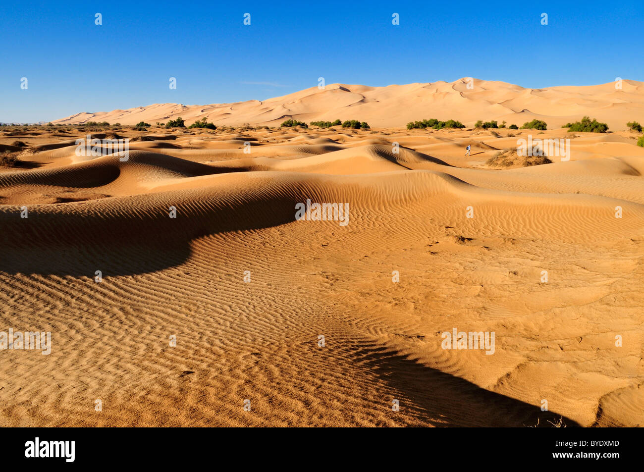 Sanddunes of erg admer hi-res stock photography and images - Alamy