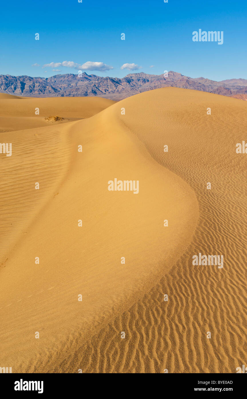 Grapevine mountains hi-res stock photography and images - Alamy