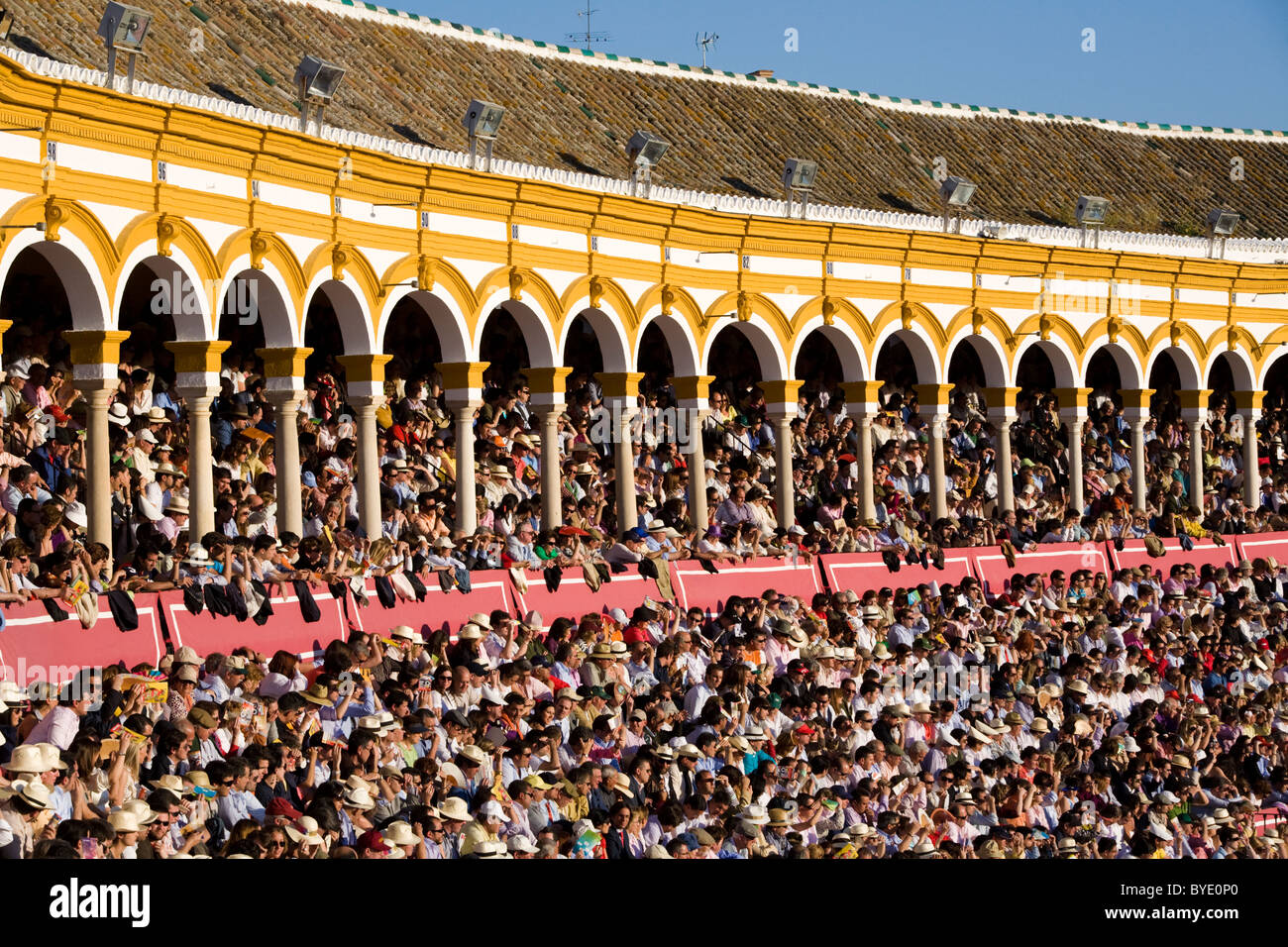 Audience / crowd / spectators / spectator at Sevilla bullring / bull ...