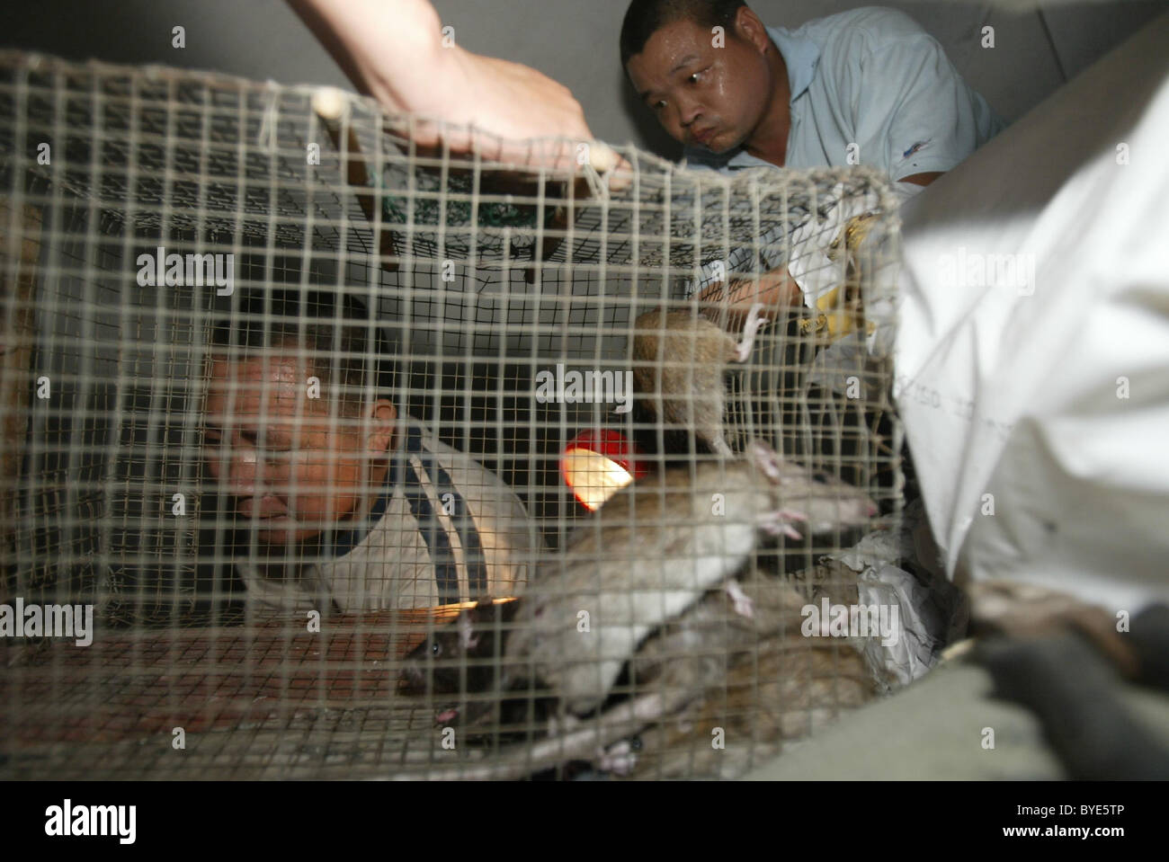 MOUSE MEAT Impoverished clothes factory workers in Dongguan City, China ...