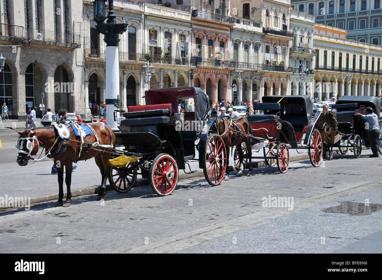 Horse-drawn carriages parked in front of the Capitol, Paseo de Marti ...