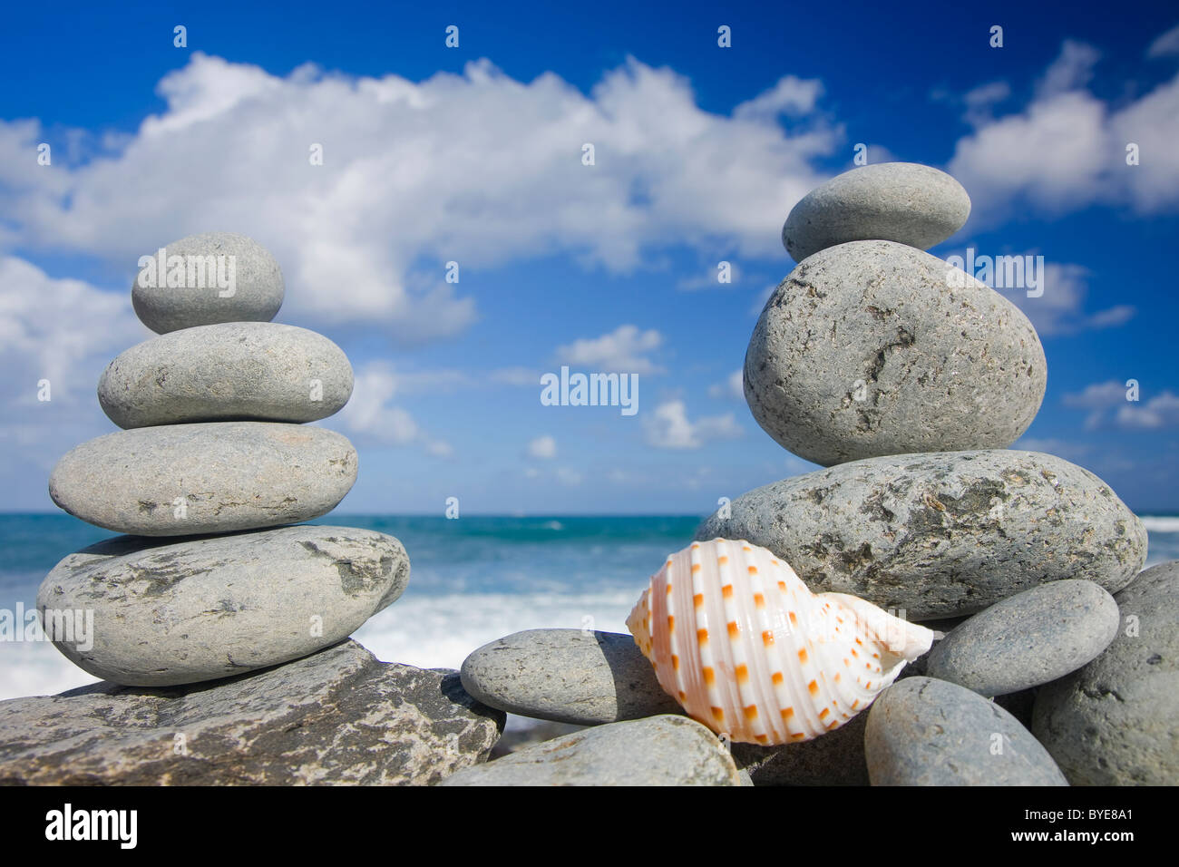 Seashell and pebble stack by the sea Stock Photo - Alamy
