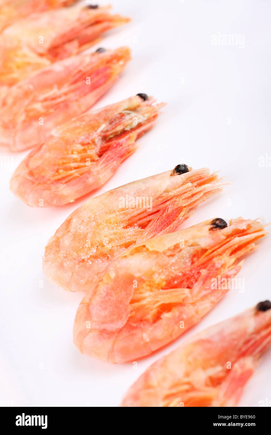 cooked iced prawns, defrosting before being eaten Stock Photo - Alamy