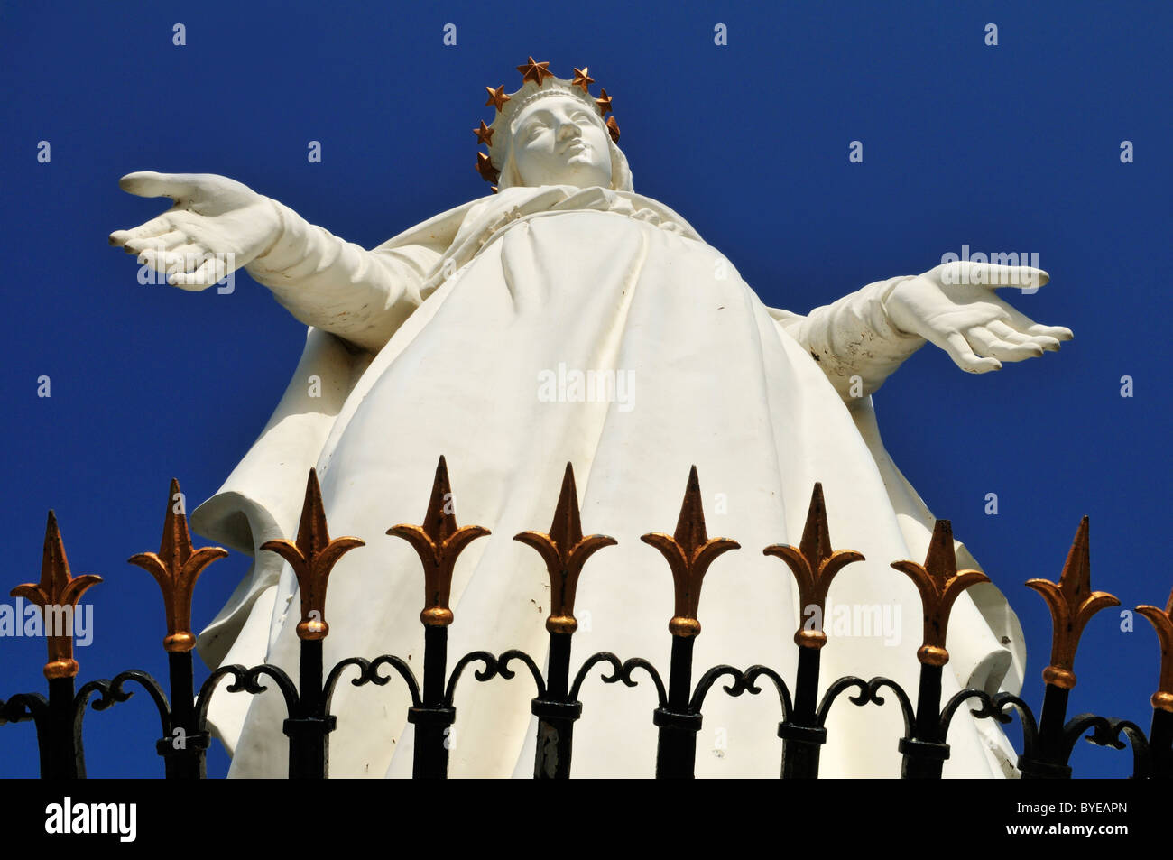 Our Lady Of Lebanon Statue at Tammy Cornell blog
