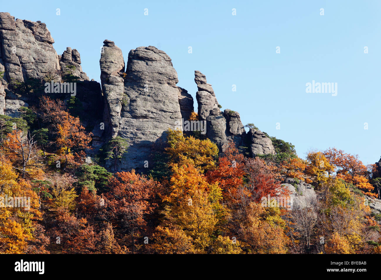 Rocks and autumnal forest above Duernstein castle ruins, Wachau valley ...
