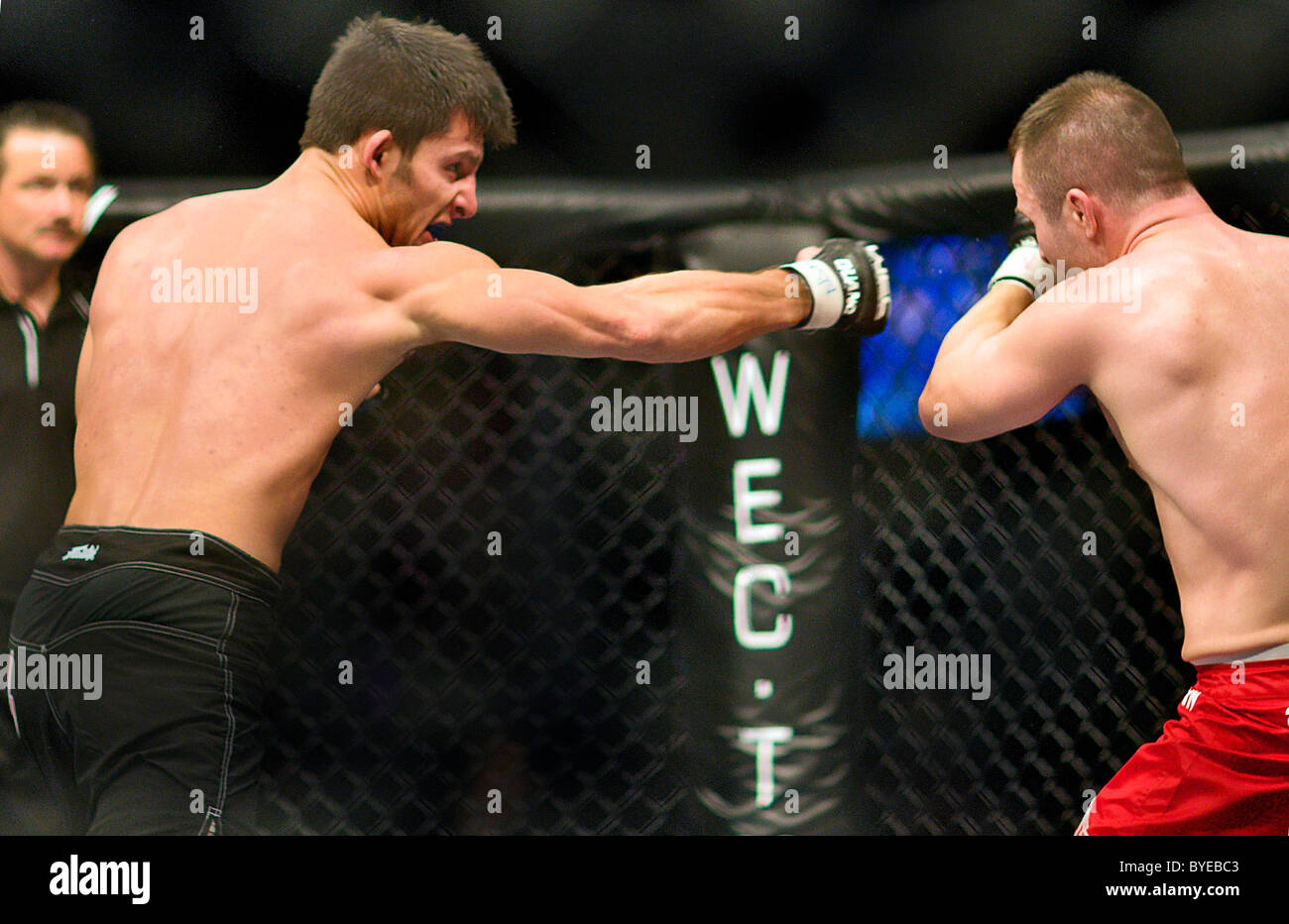 WEC, World Extreme Cage Fighting makes it's debut at the Hard Rock ...