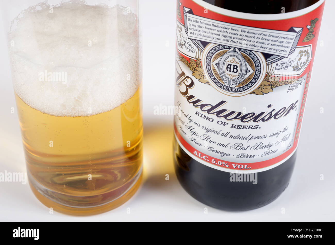Budweiser bottled beer Stock Photo - Alamy