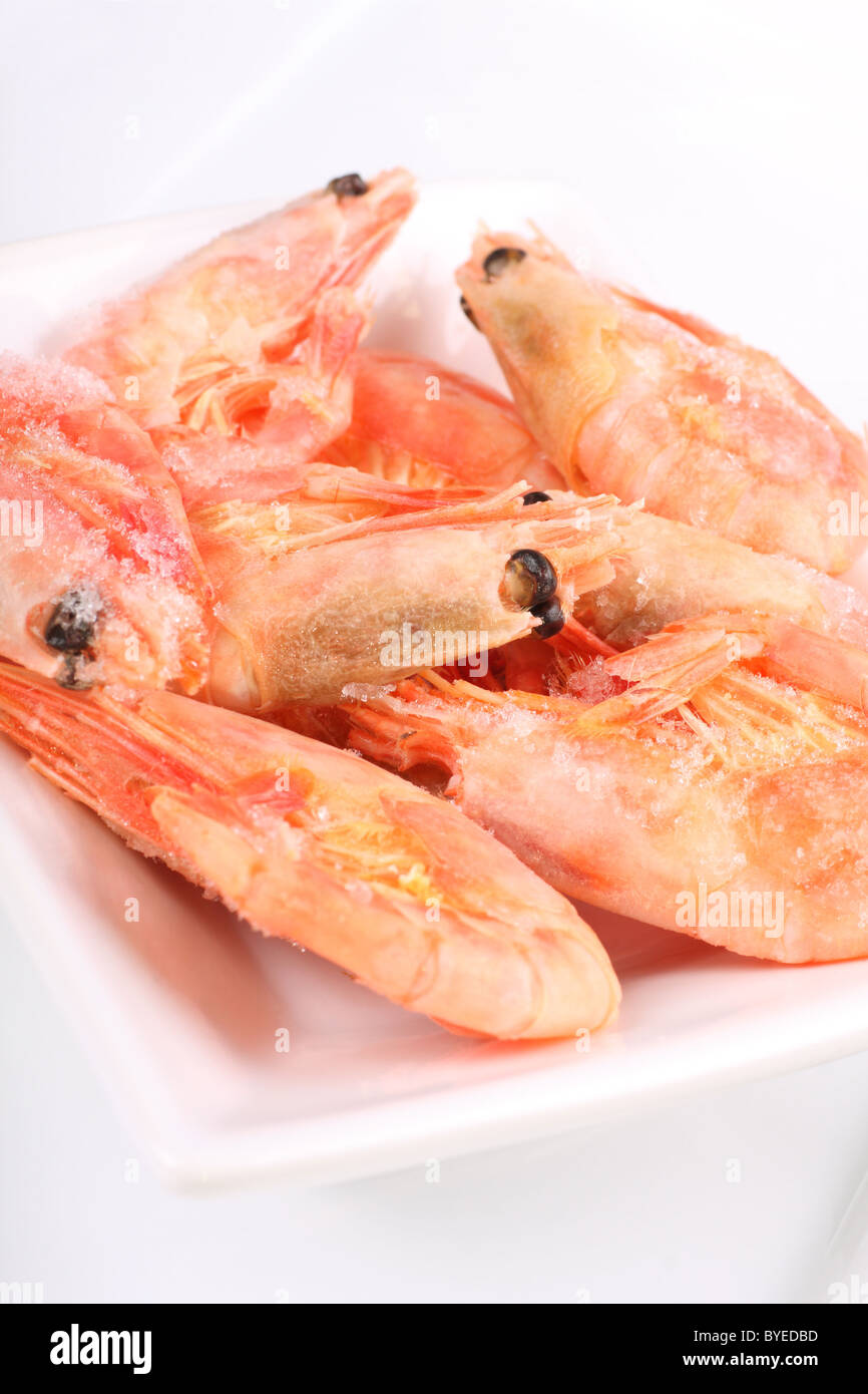 cooked iced prawns, defrosting before being eaten Stock Photo - Alamy