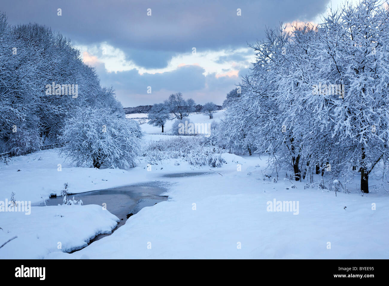 Guisborough Forest in winter at Pinchinthorpe Stock Photo - Alamy