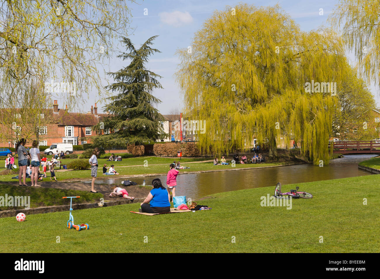 Queen elizabeth gardens salisbury hi-res stock photography and images ...