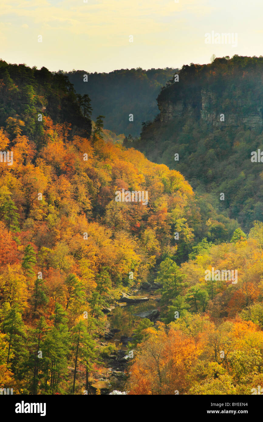 Wolf Creek Overlook, Little River Canyon National Preserve, Fort Payne ...