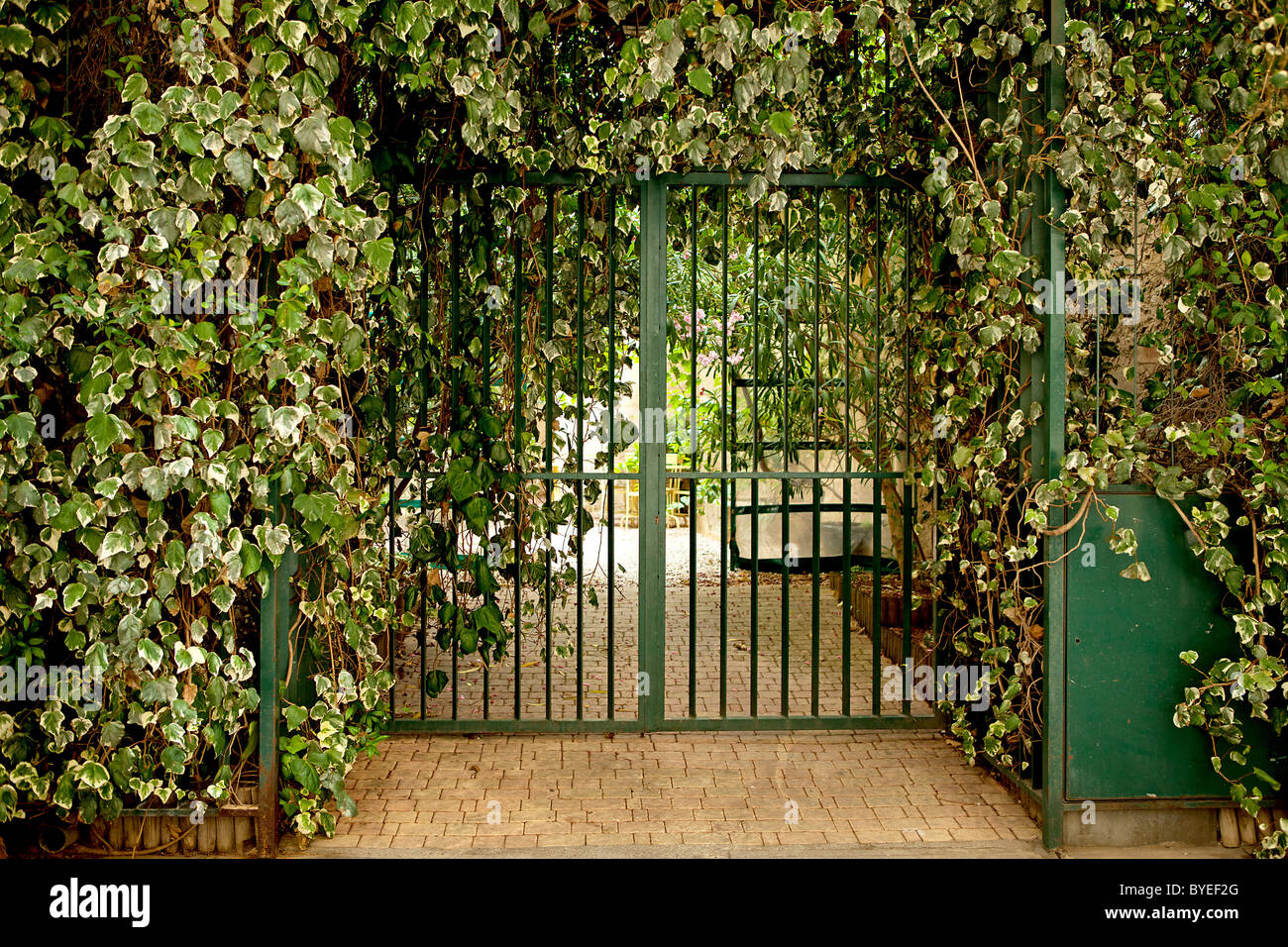 green gateway covered with plants and trees Stock Photo - Alamy