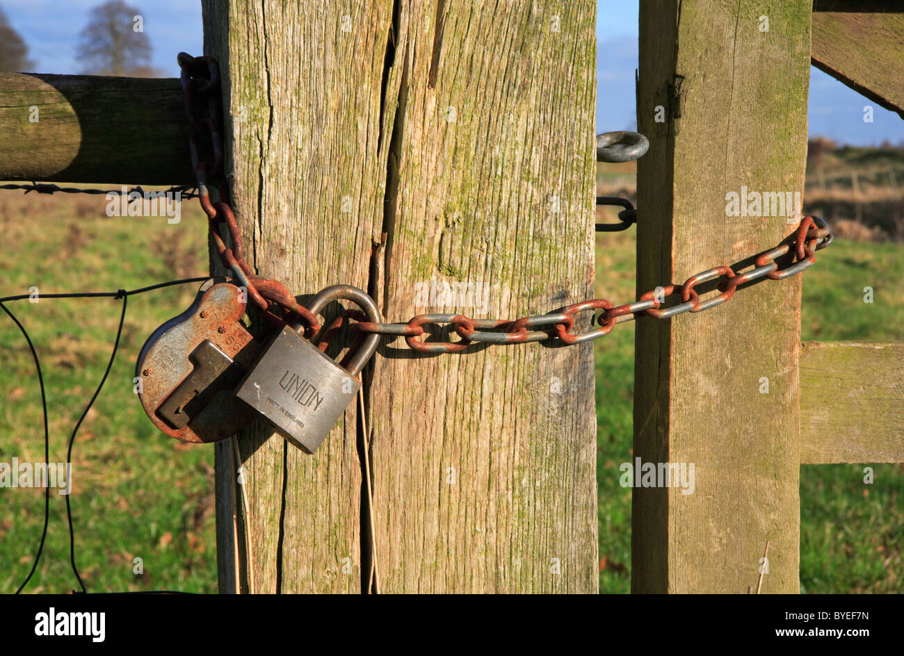 Padlocks and chain on a farm gateway in the Norfolk countryside Stock ...