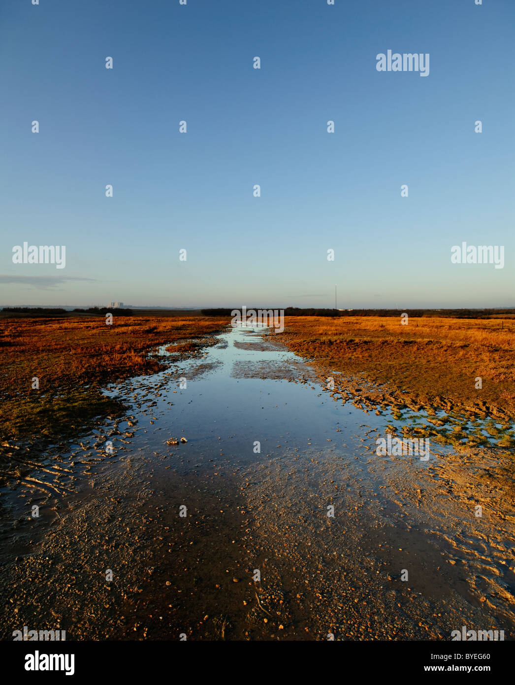 Sunrise Mersea Island Essex England Stock Photo - Alamy