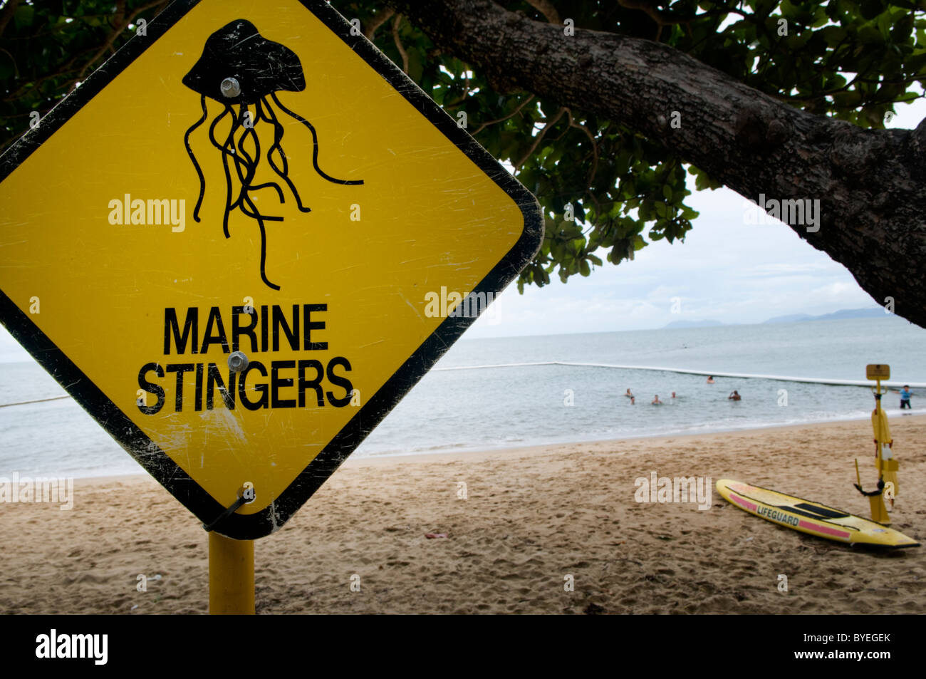 Marine stinger warning sign Queensland Australia Stock Photo - Alamy