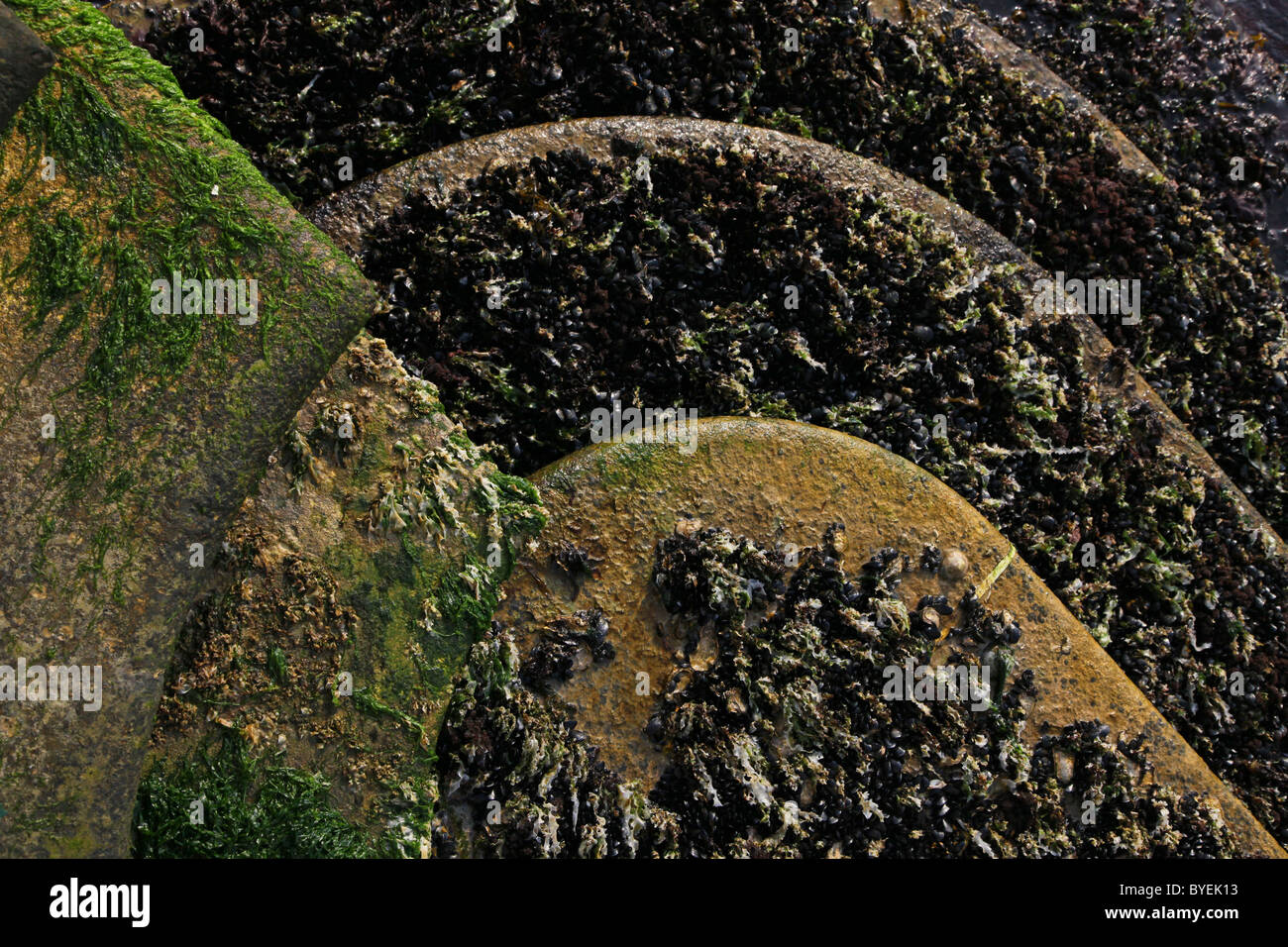 Stair stairs hi-res stock photography and images - Alamy