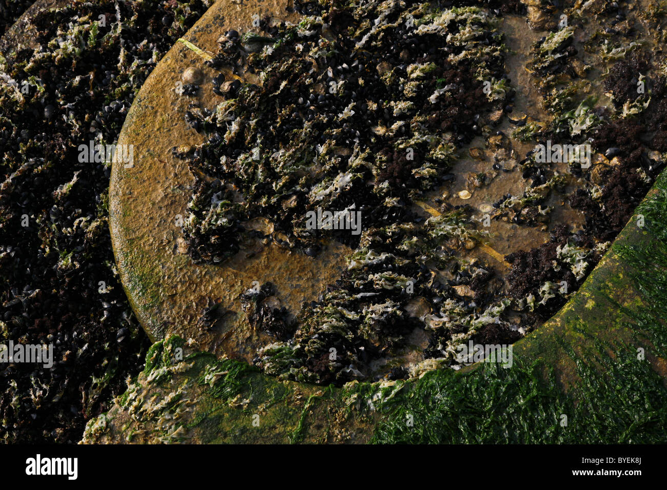 Stair stairs hi-res stock photography and images - Alamy