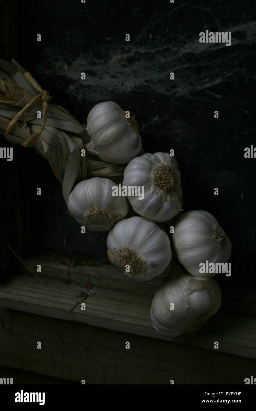 Garlic tied hi-res stock photography and images - Alamy