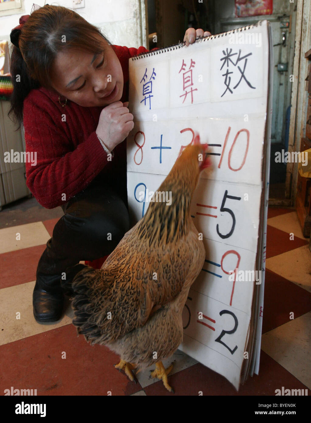 DON'T COUNT YOUR CHICKENS This chicken from China is a real nugget ...