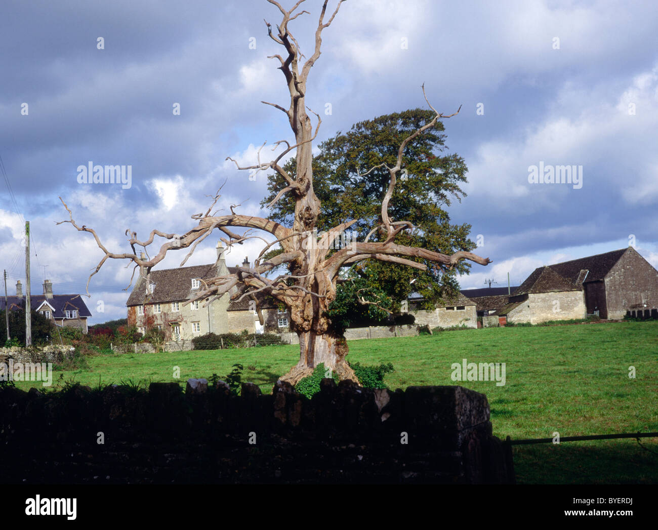 Hartham park hi-res stock photography and images - Alamy