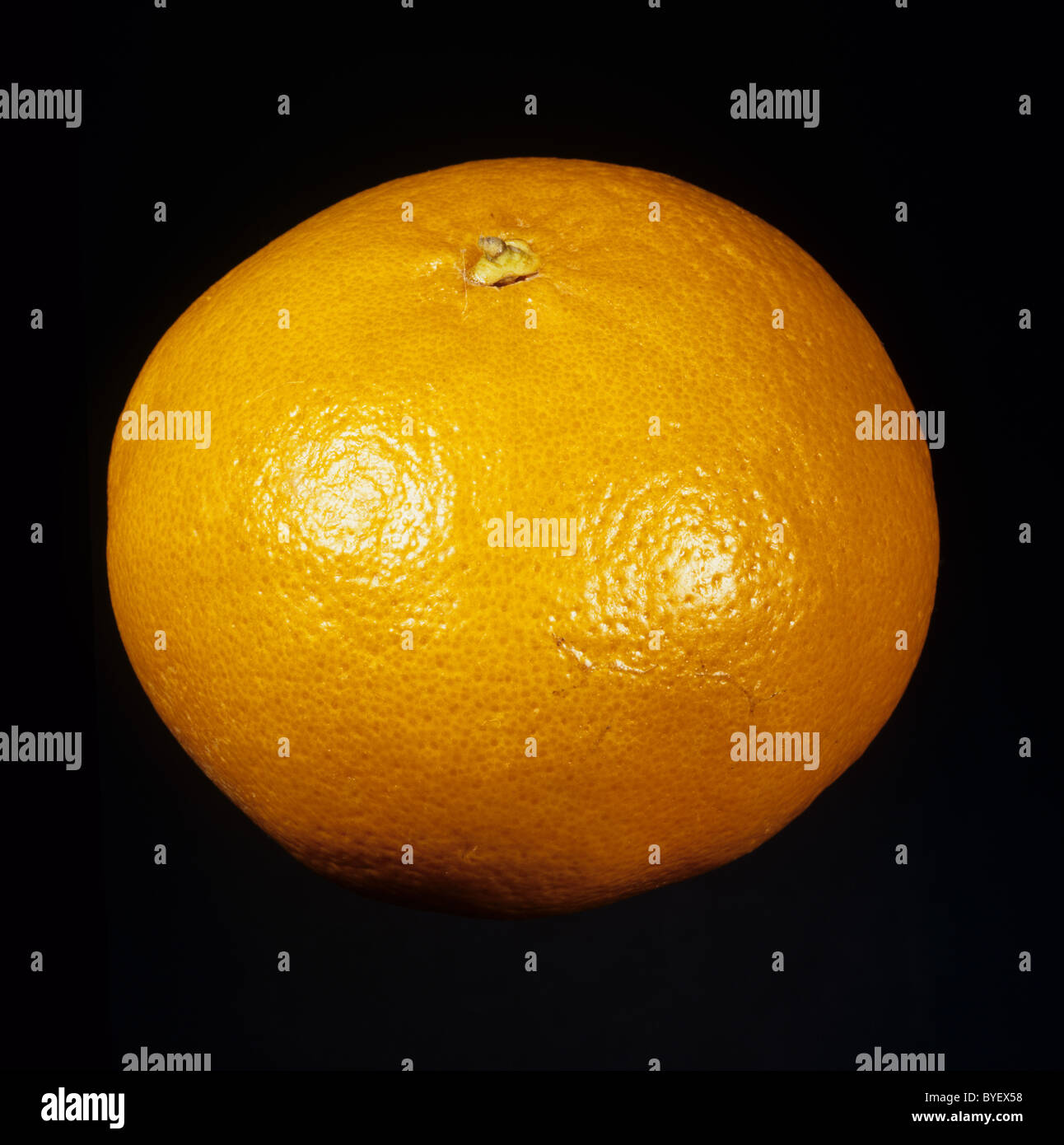 Whole mandarin fruit variety Ellendale Stock Photo - Alamy