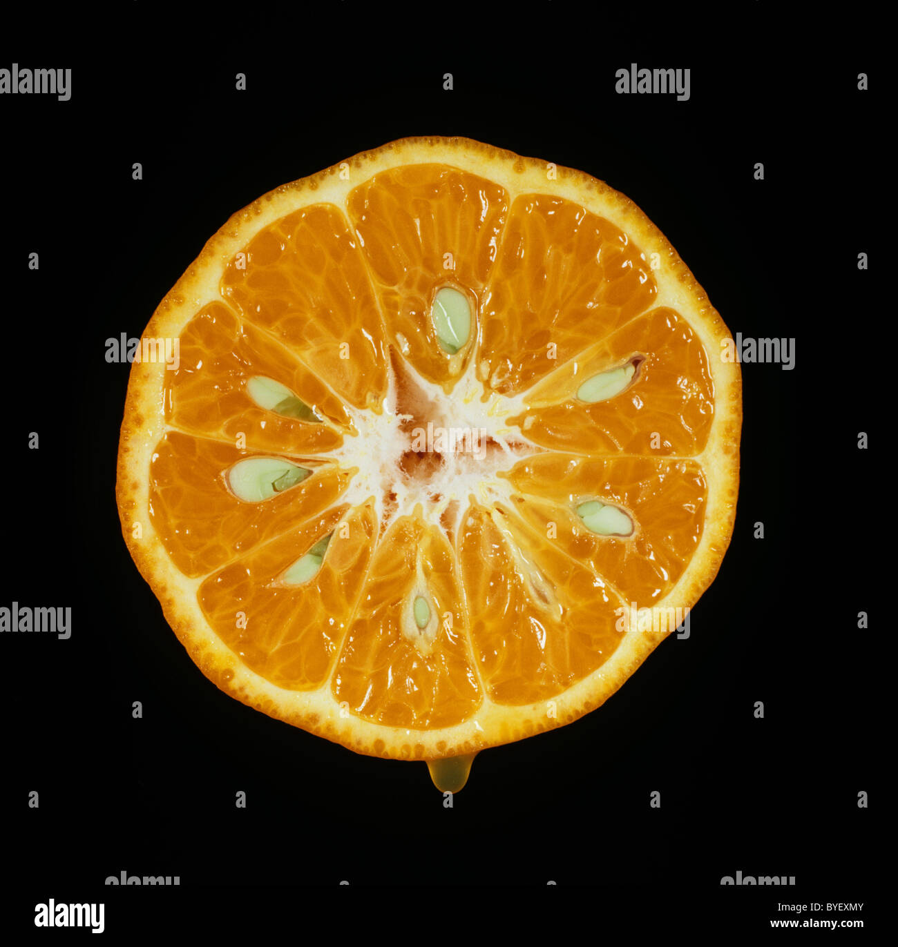 Cut section of a mandarin fruit variety Imperial Stock Photo - Alamy