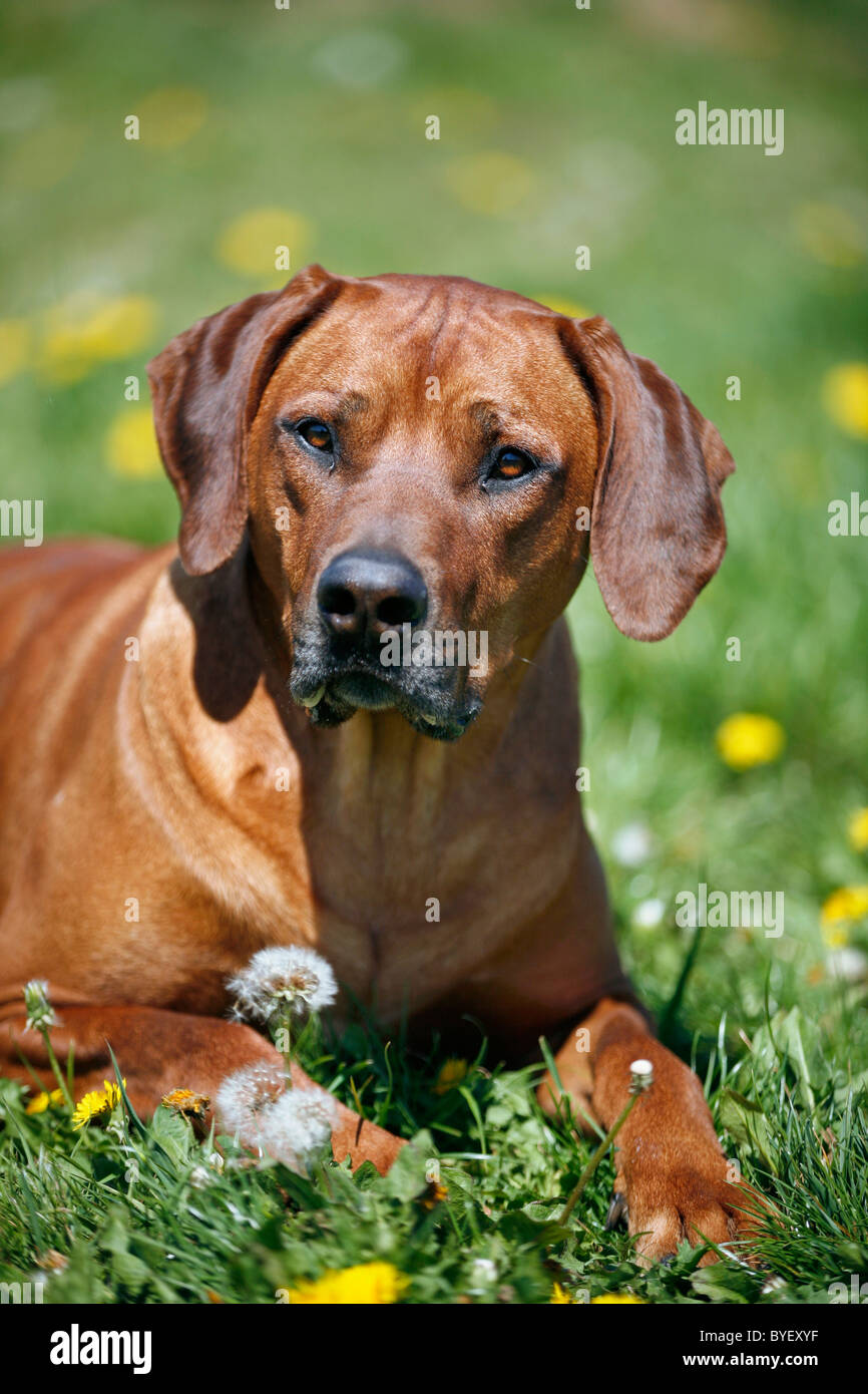 12720 hi-res stock photography and images - Alamy