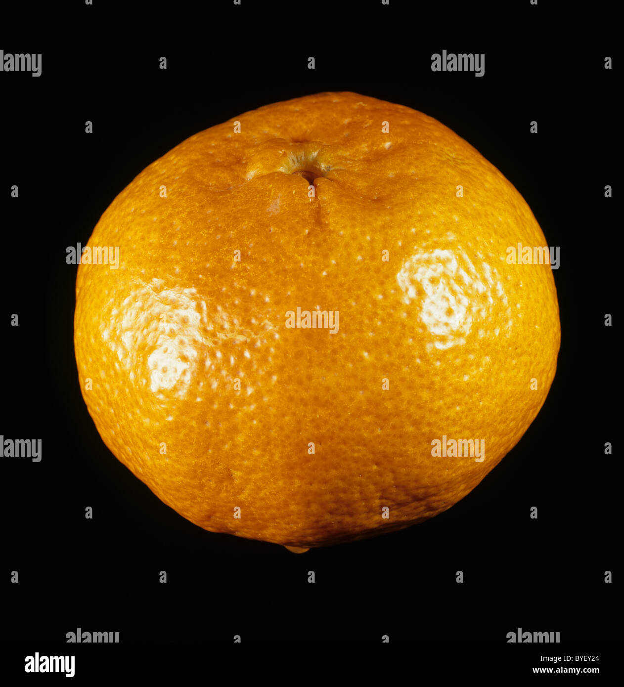 Whole citrus fruit mandarin variety Encore Stock Photo - Alamy