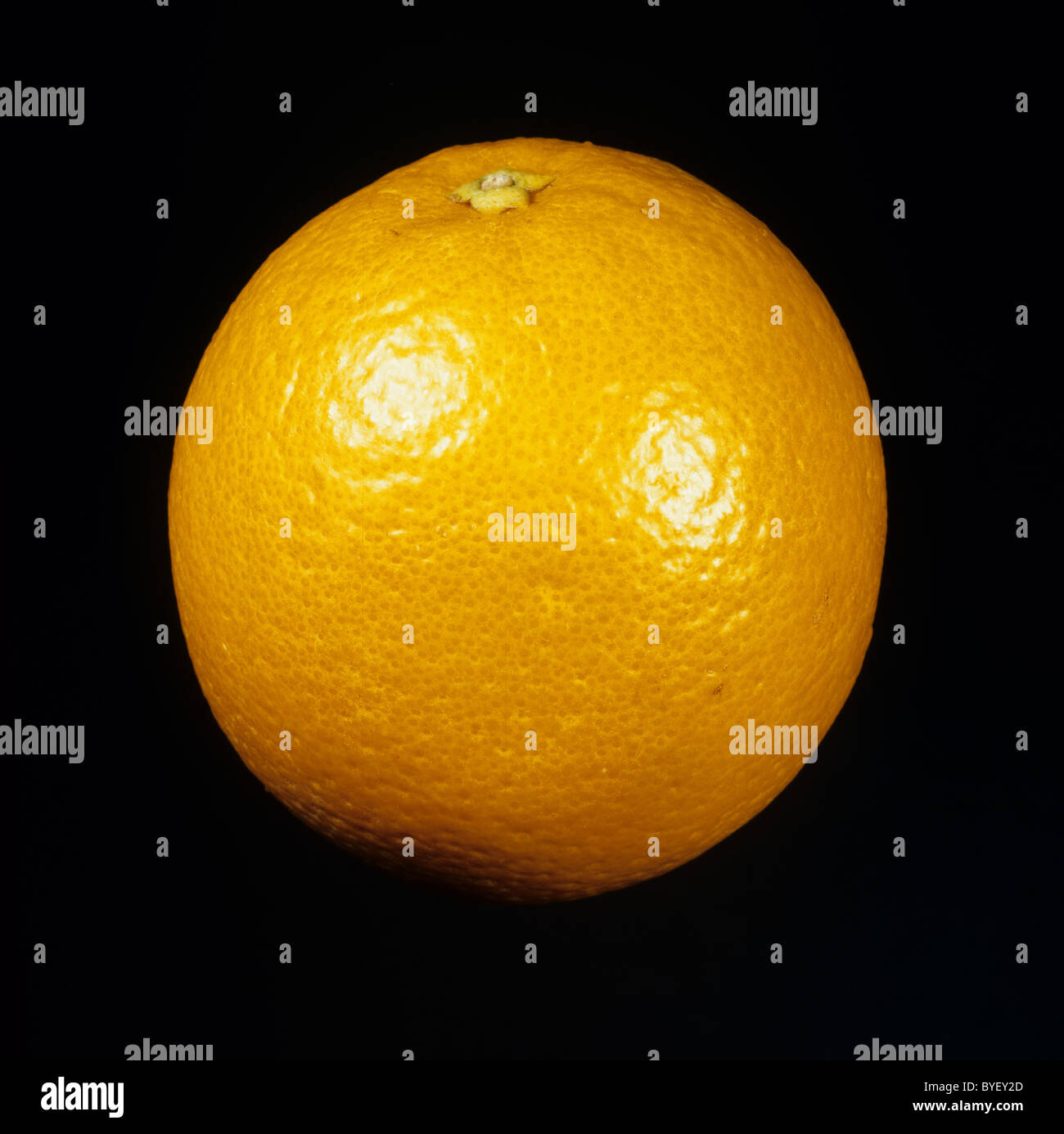 Whole citrus fruit, orange variety Tomanga Stock Photo - Alamy