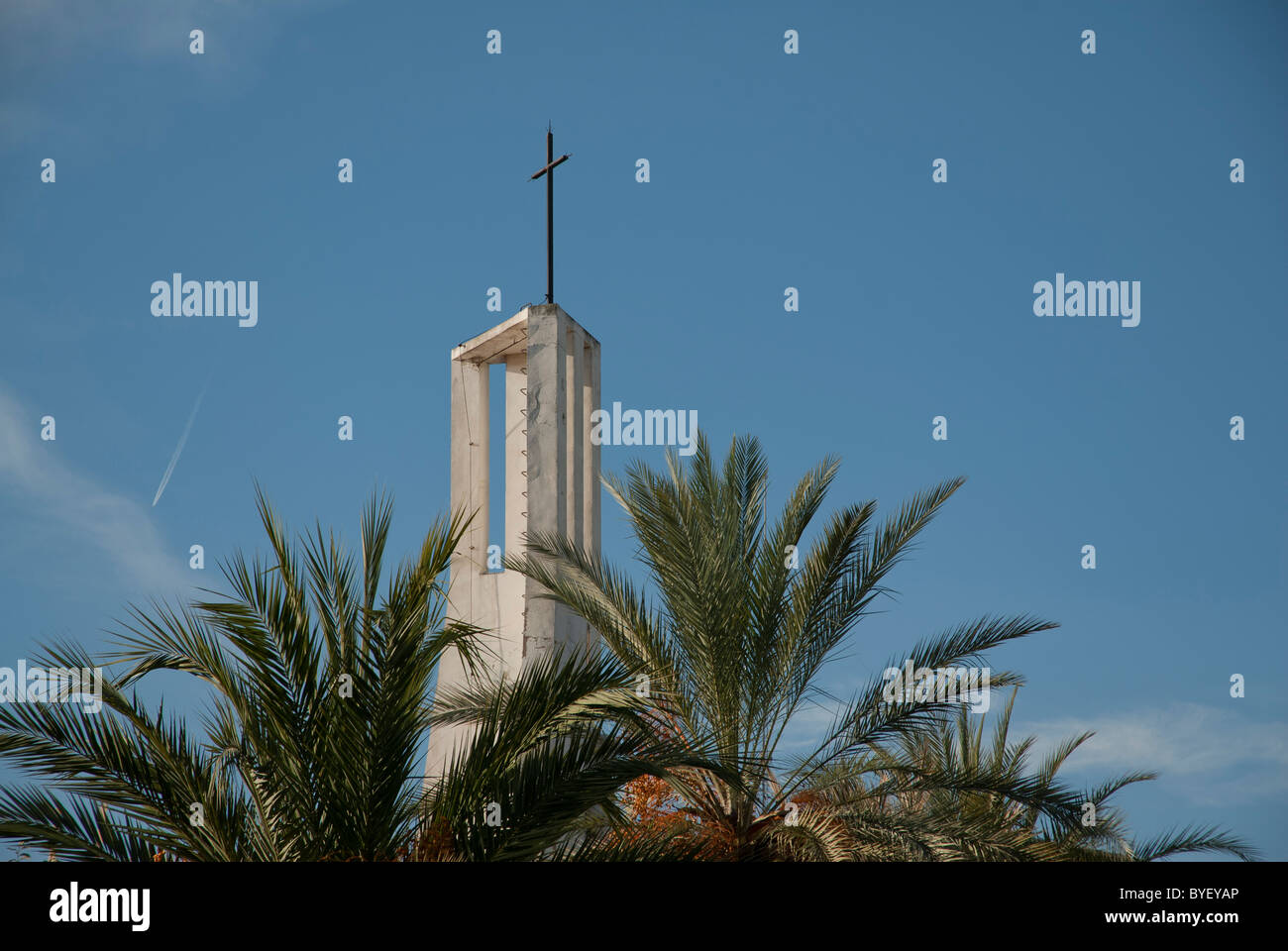 Valencia palms, Spain Stock Photo - Alamy