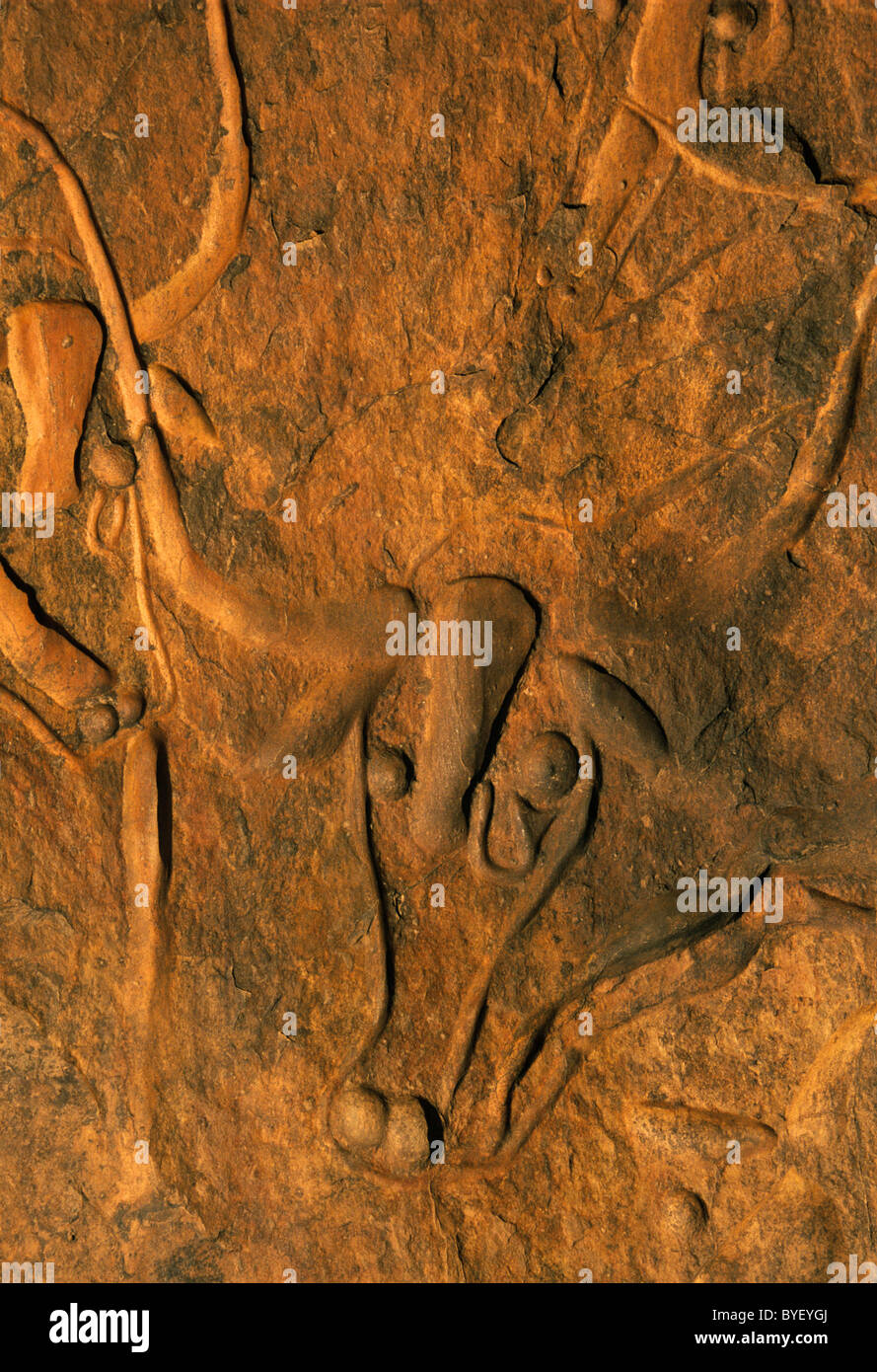 Southern algeria hi-res stock photography and images - Alamy