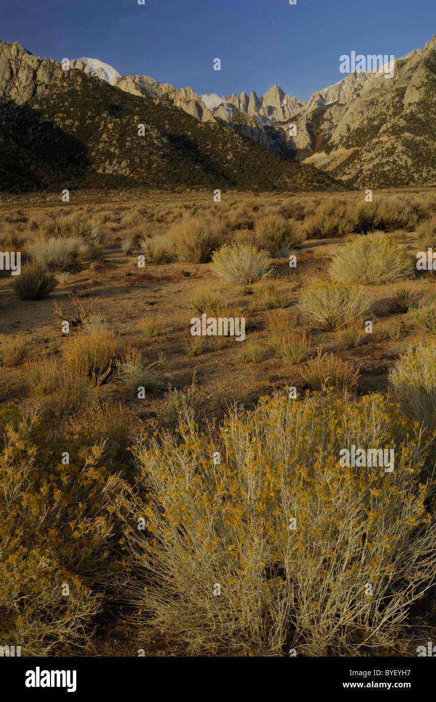 Mt. Whitney, Mount Whitney, Fall, Sunrise, Sunset, California Stock ...