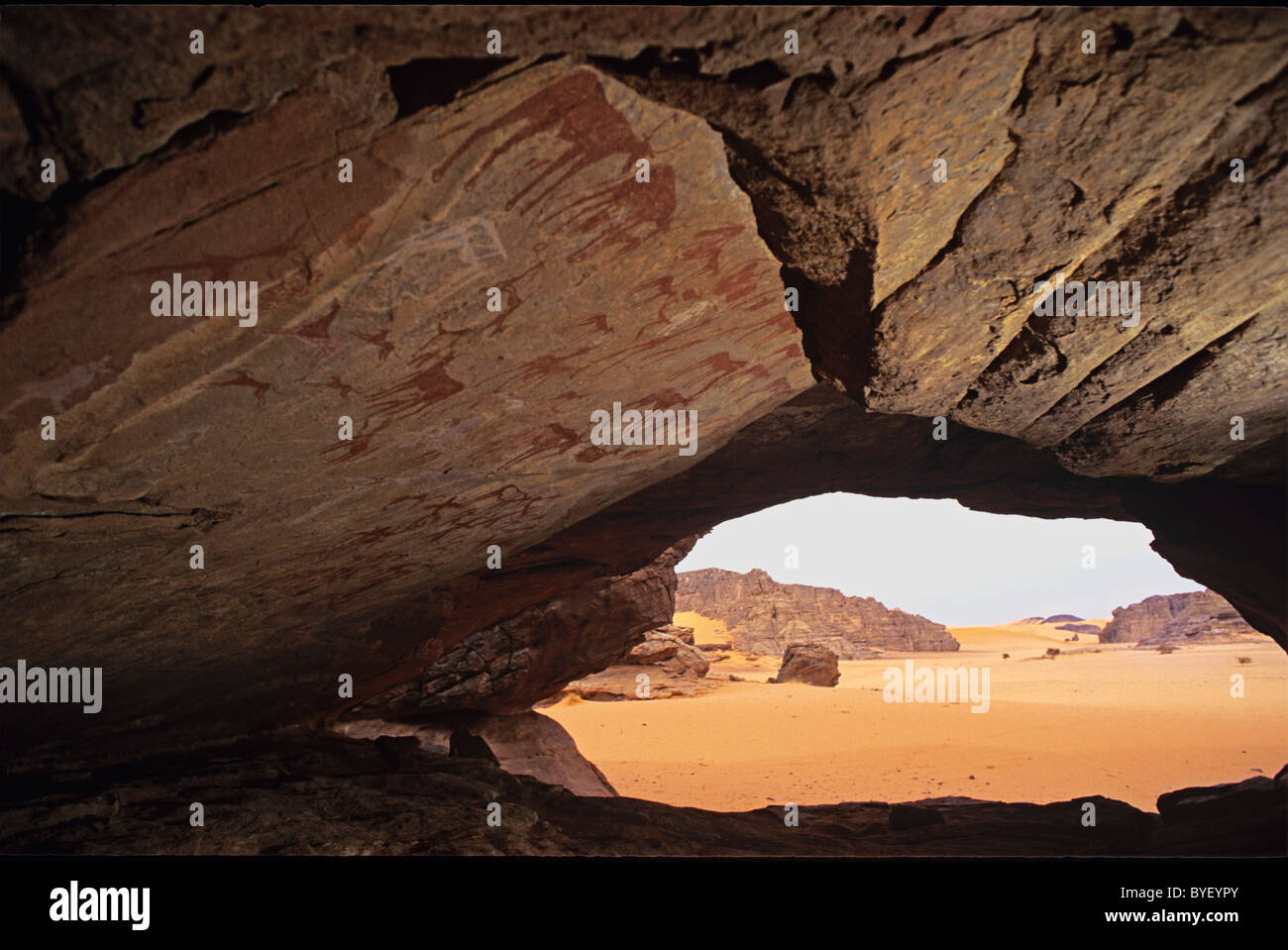 Cave paintings of animals hi-res stock photography and images - Alamy