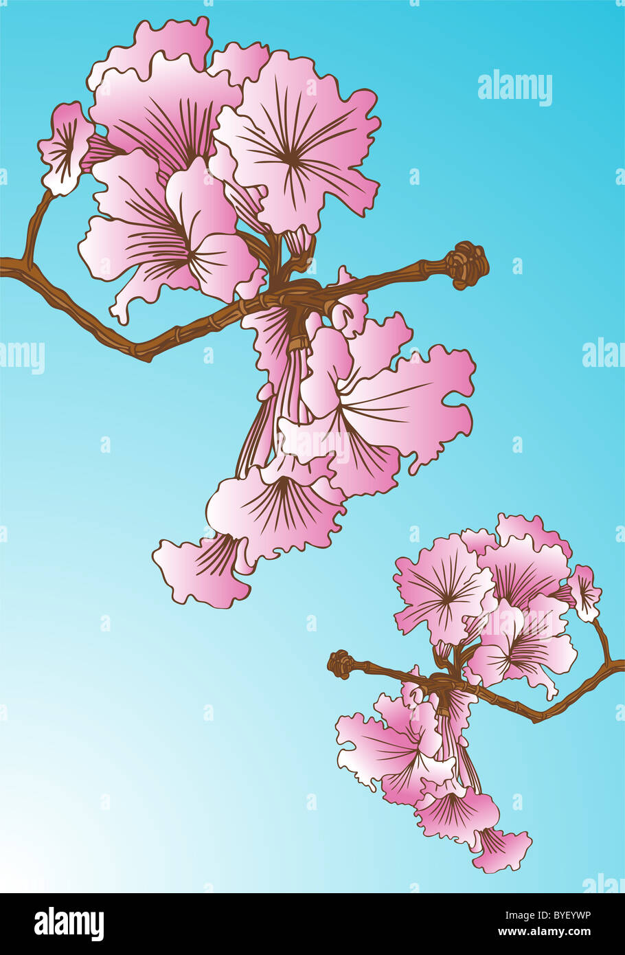 Drawing of a large pink blossom growing from a tree Stock Photo - Alamy