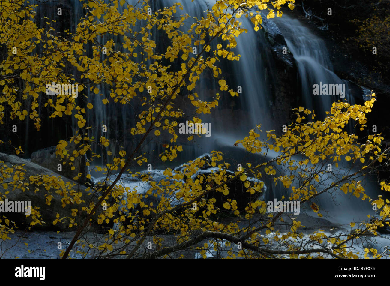 Waterfall, Mount Whitney Portal, Mt. Whitney Portal, Inyo National ...