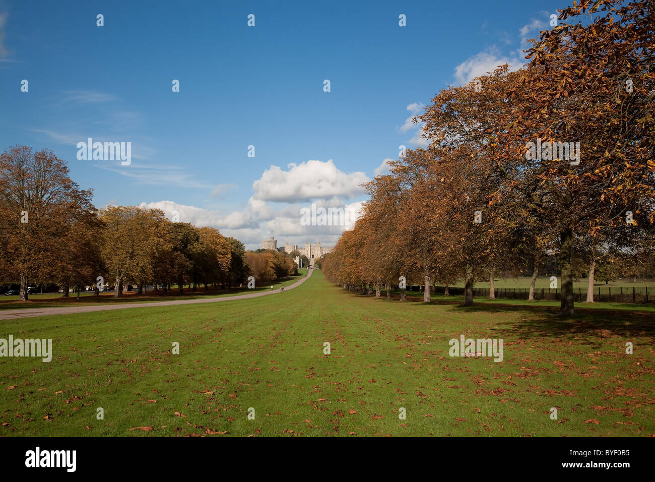 Fall trees windsor castle hi-res stock photography and images - Alamy