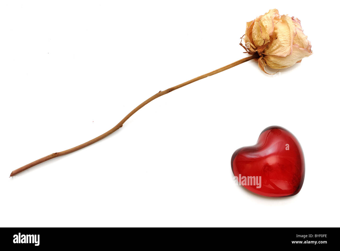 Rose heart of a rose hi-res stock photography and images - Alamy