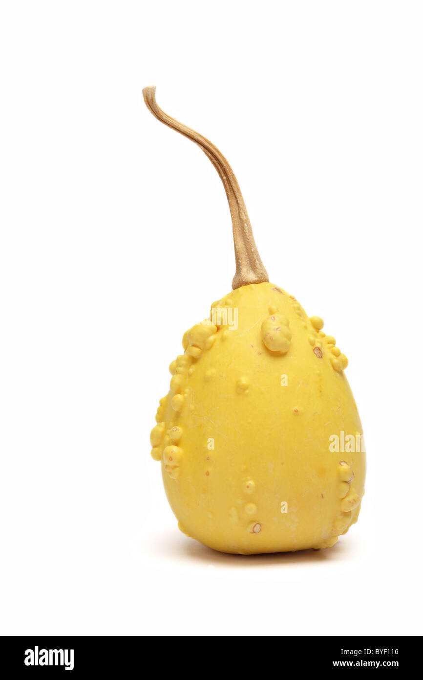 Pumpkin skin Cut Out Stock Images & Pictures - Alamy