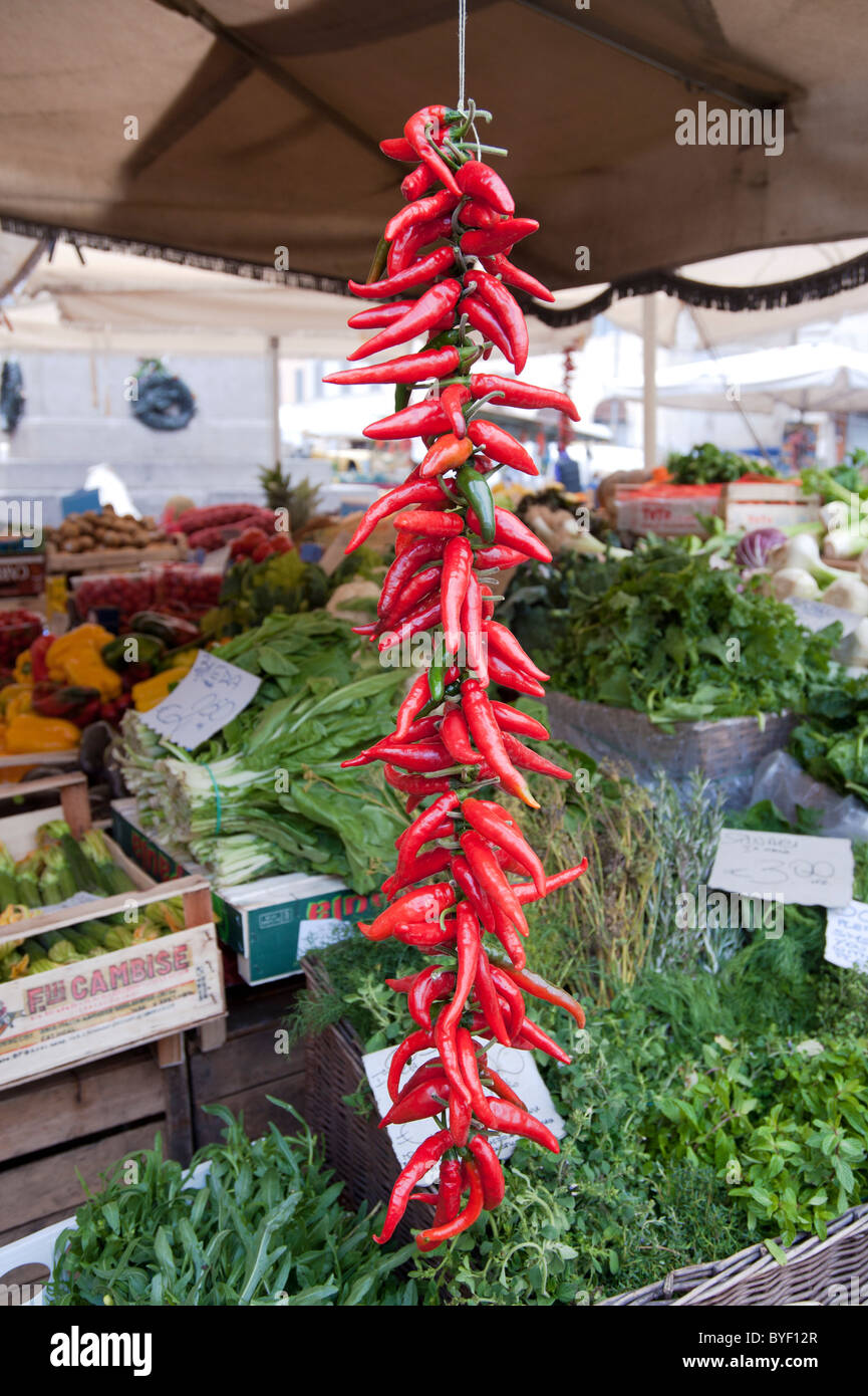 Strand of red peppers, Campo dei Fiori market, Rome Stock Photo - Alamy